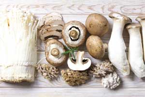 National Mushroom Day - Bianchini's Market